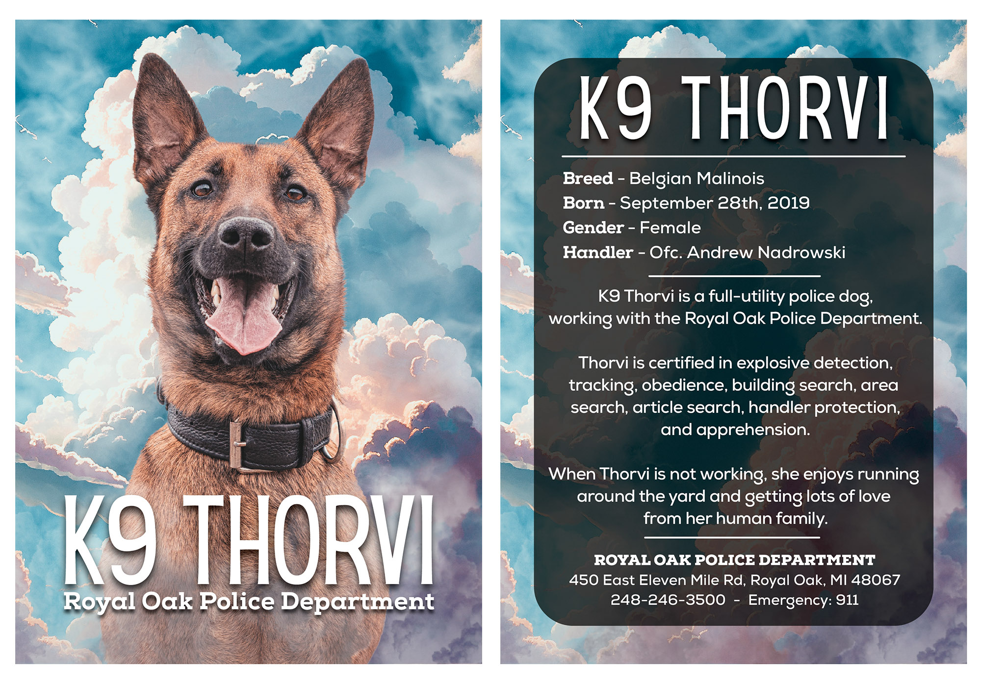 Style Options – K9 Hero Cards
