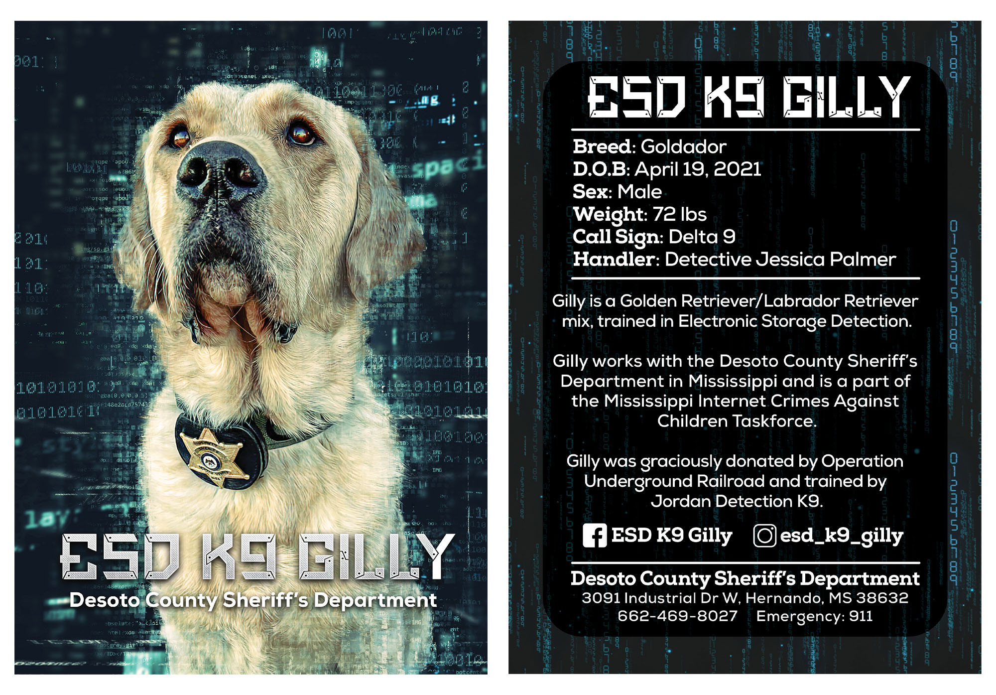 Style Options – K9 Hero Cards