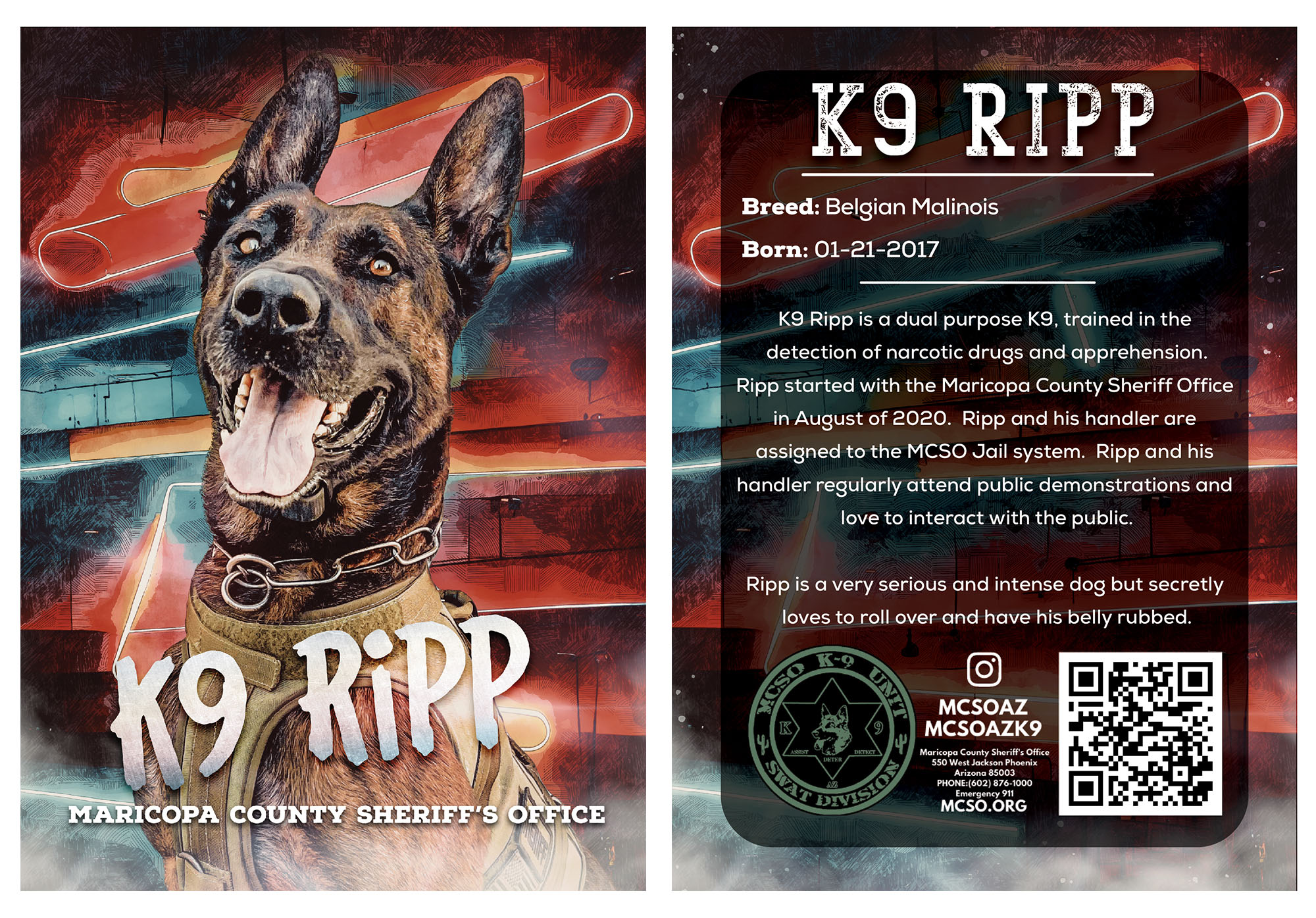 Style Options – K9 Hero Cards
