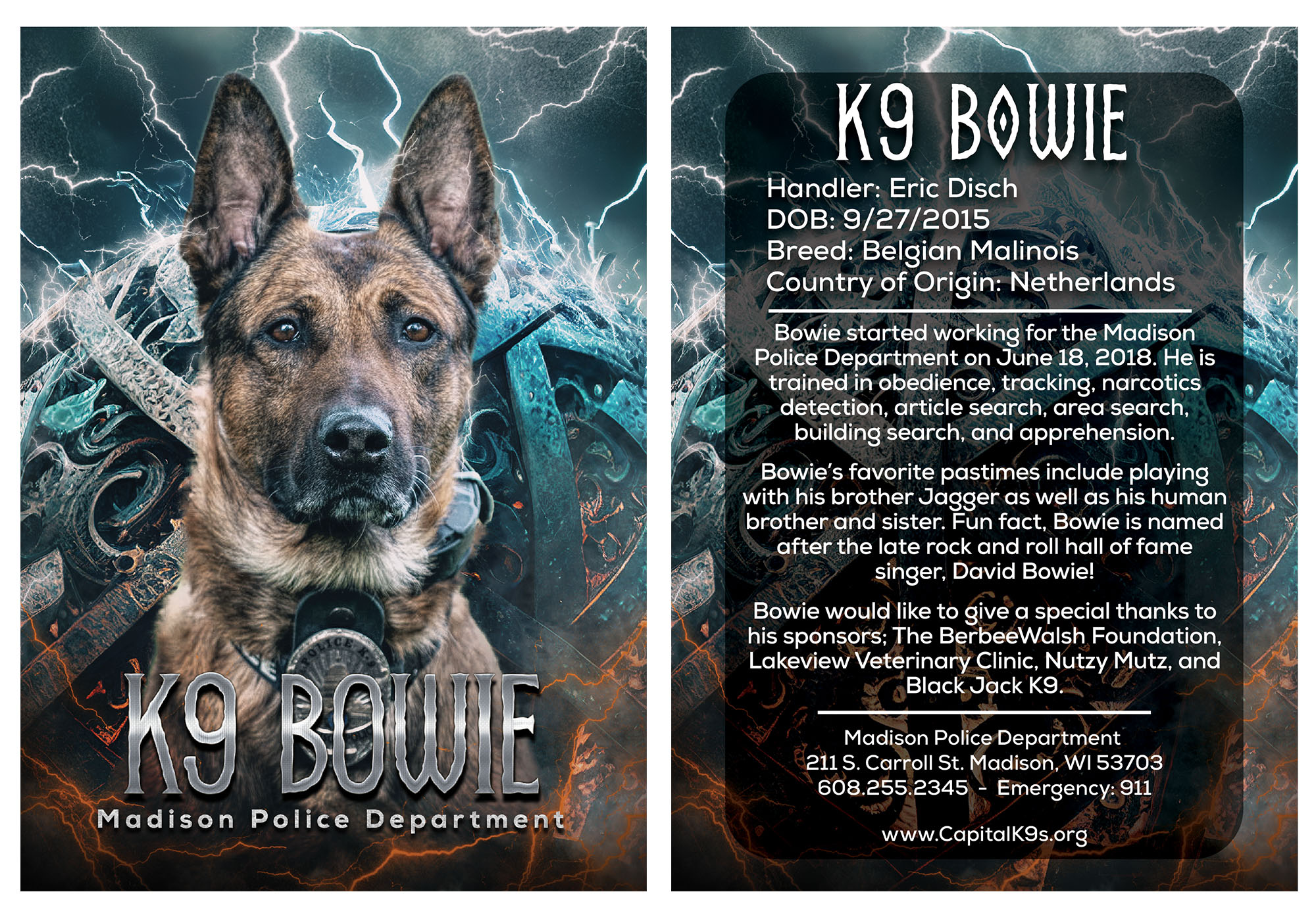 Style Options – K9 Hero Cards