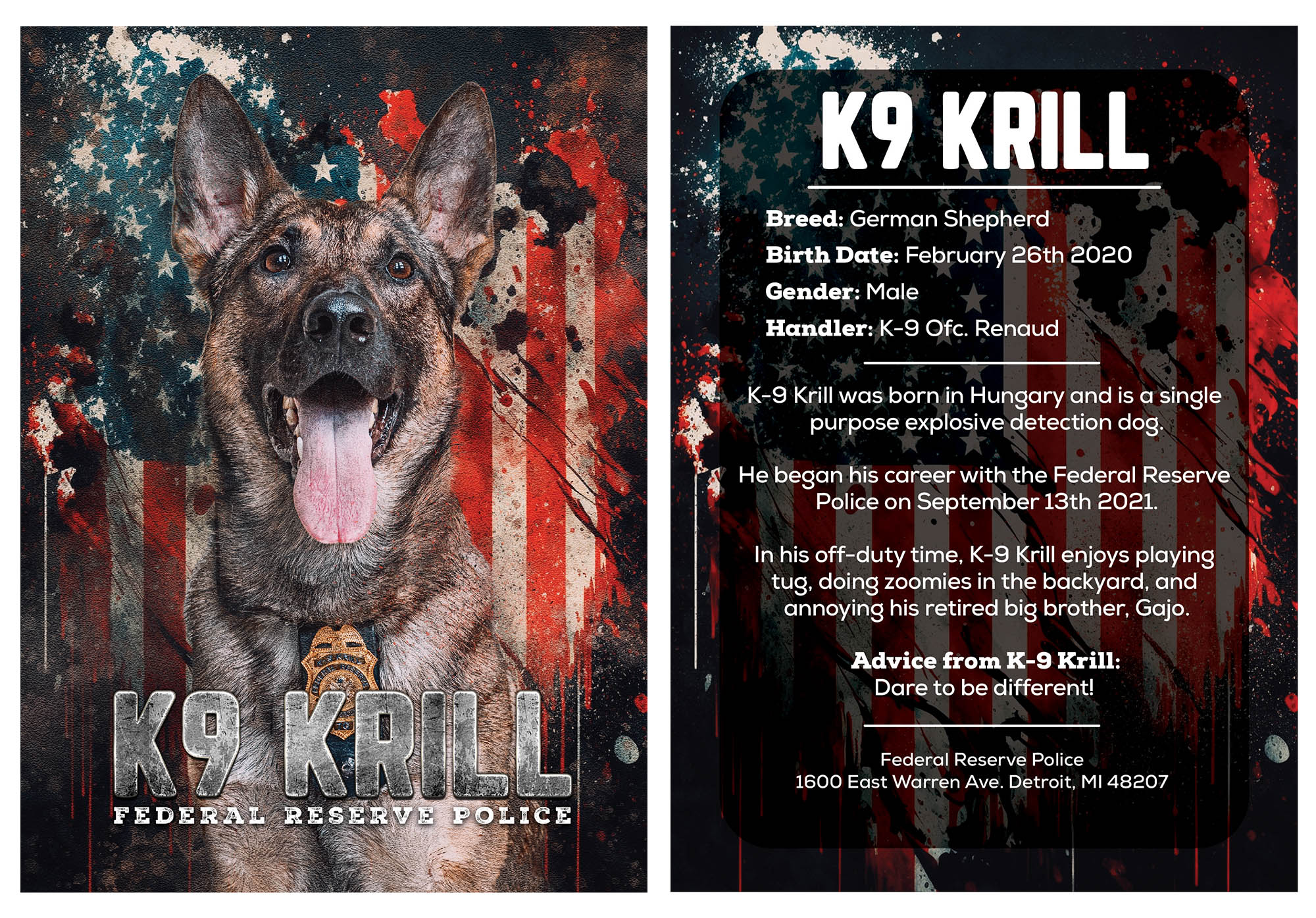 Order – K9 Hero Cards