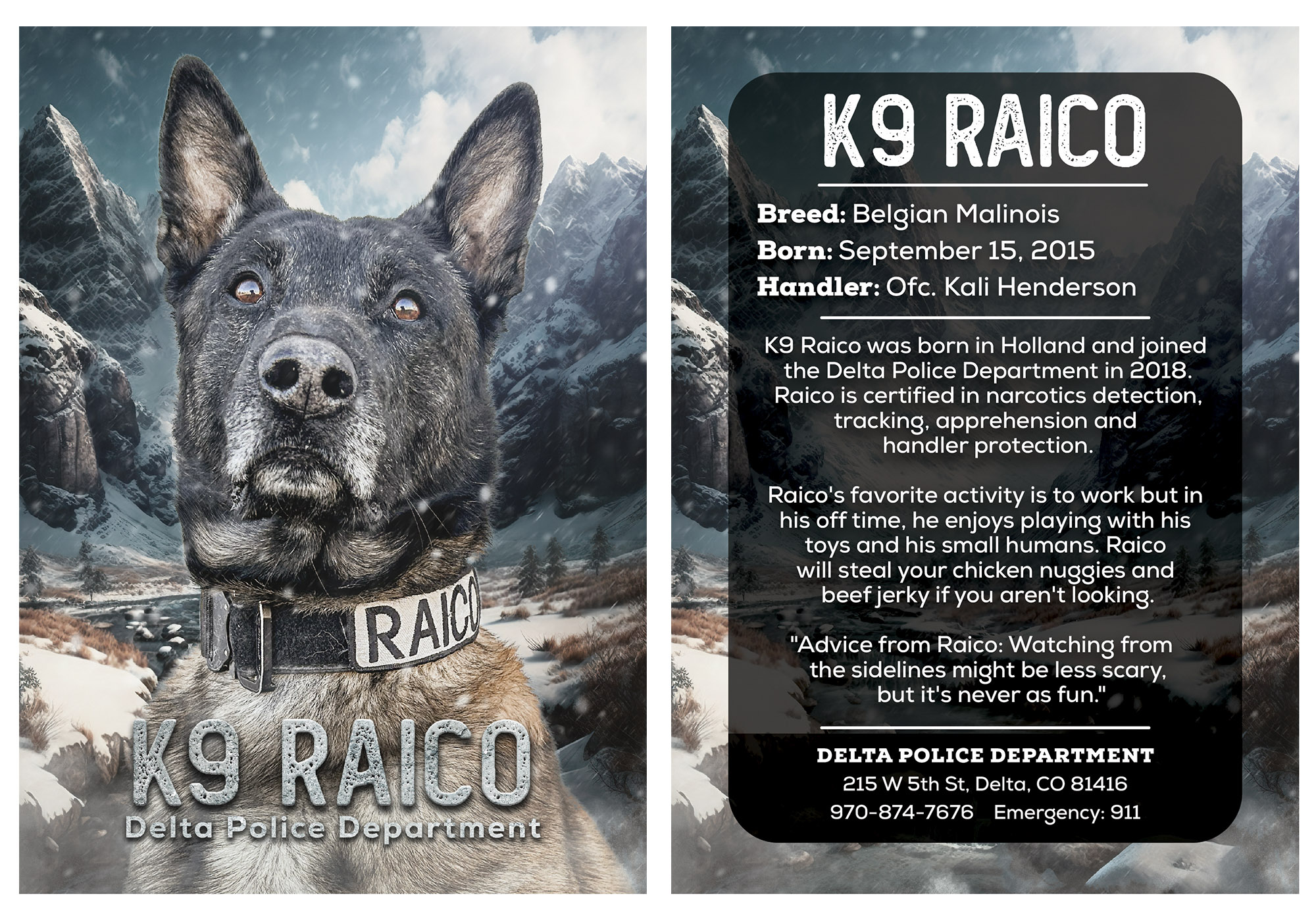 Order – K9 Hero Cards