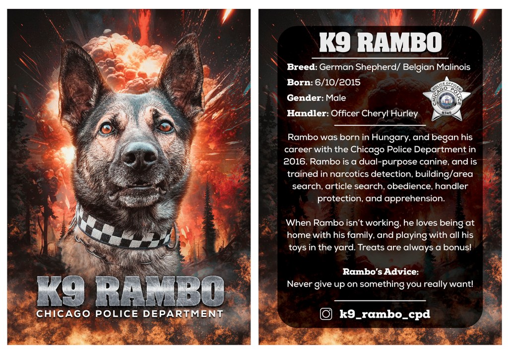 Style Options – K9 Hero Cards