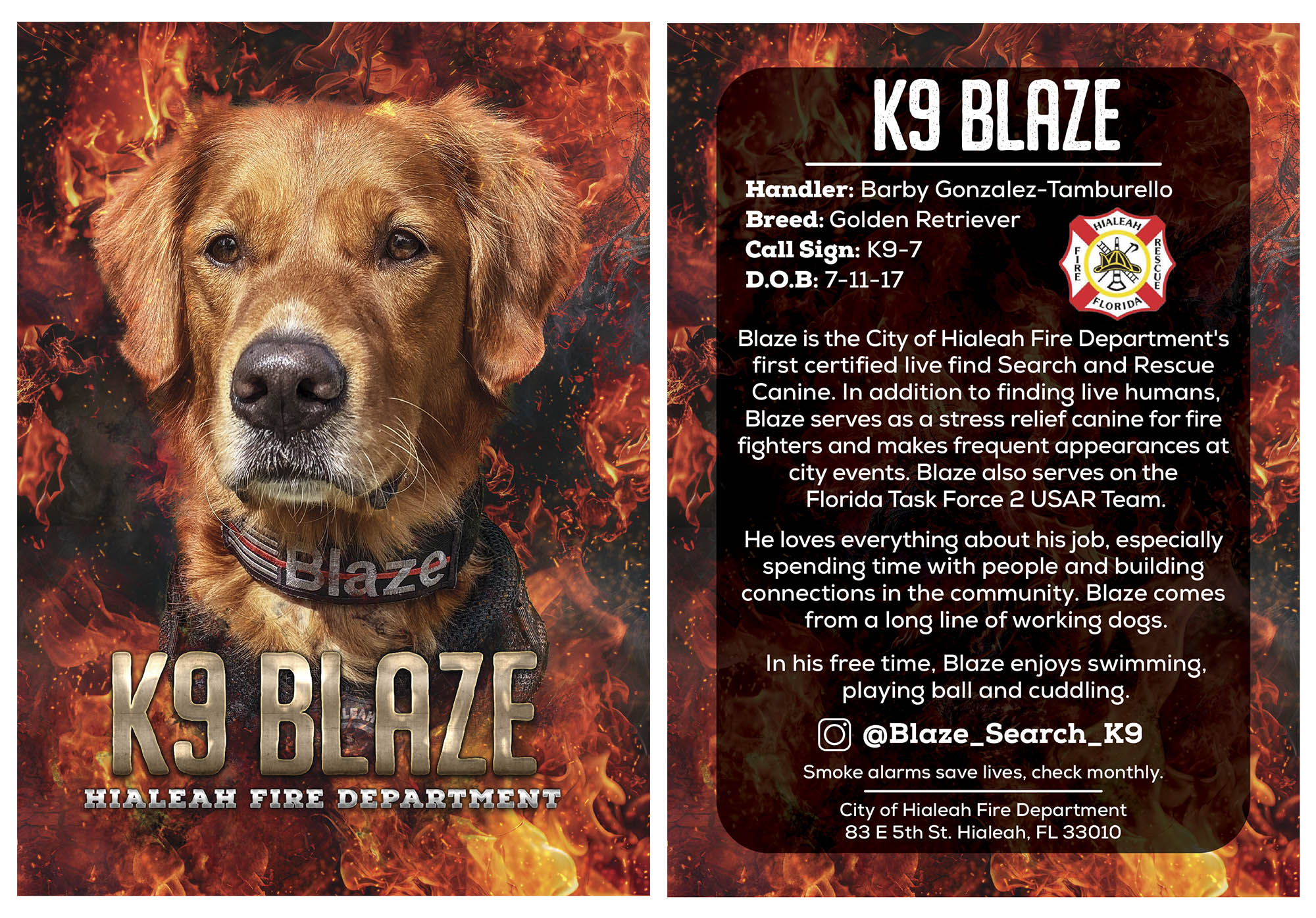 Style Options – K9 Hero Cards