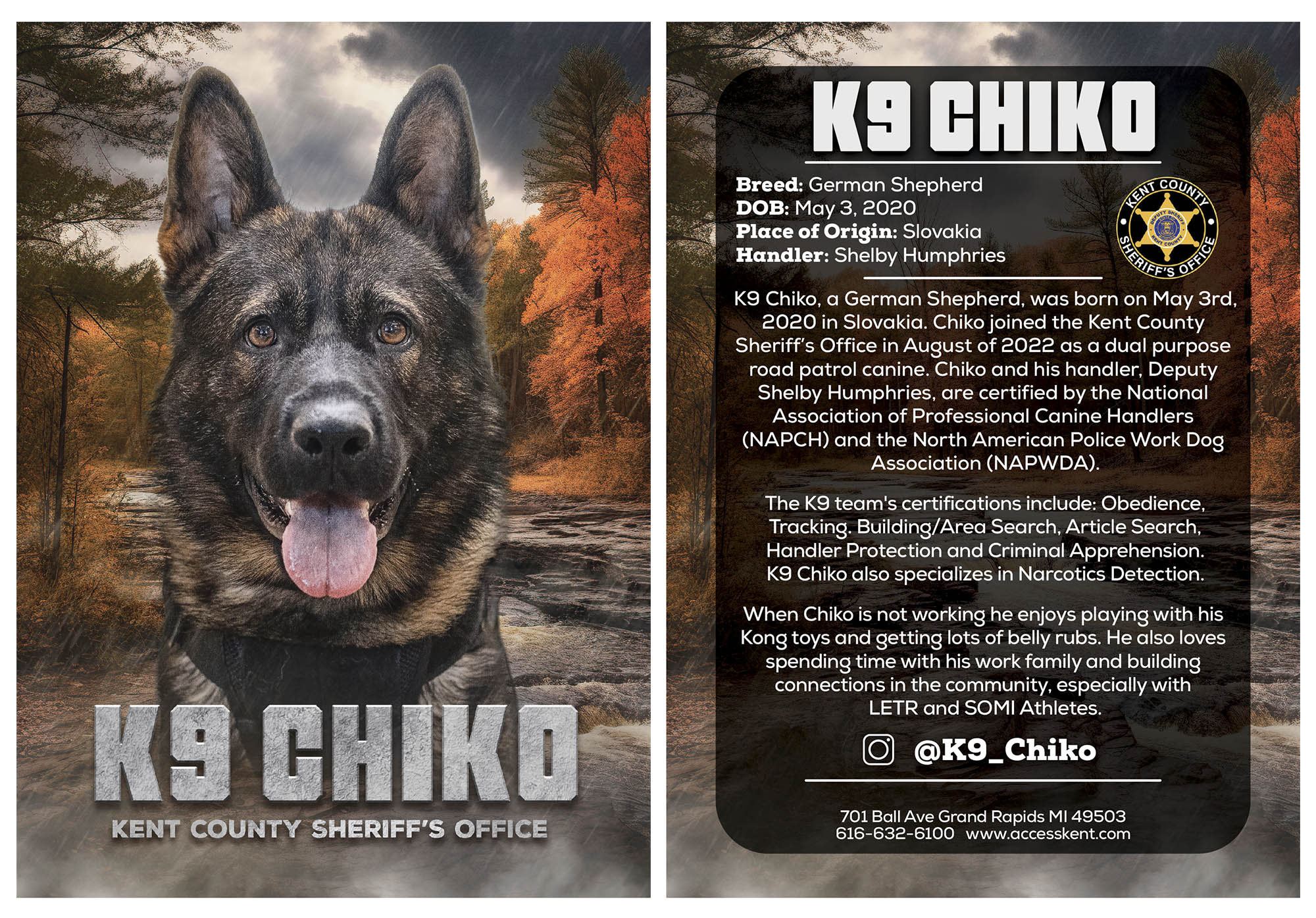 Order – K9 Hero Cards