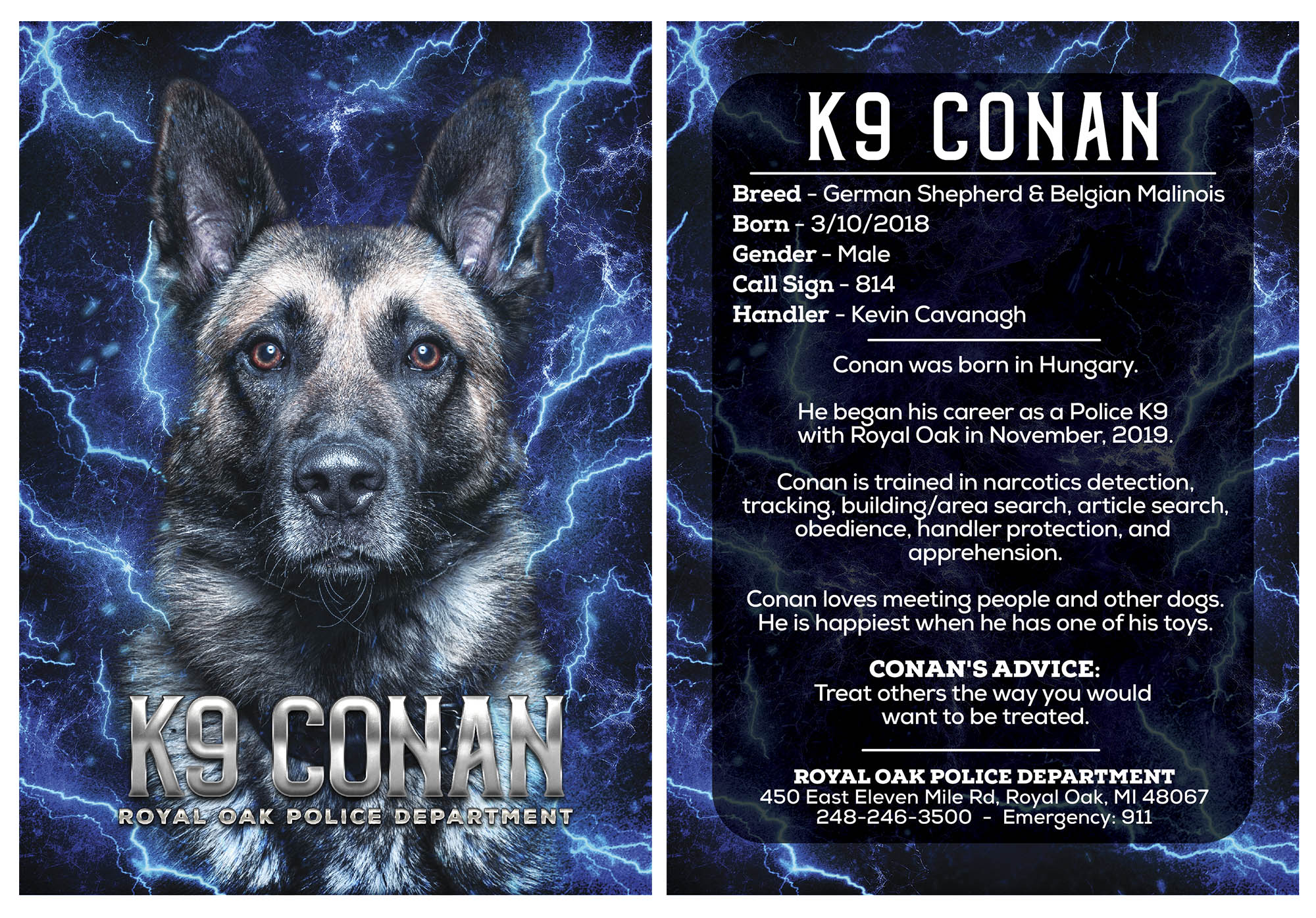 Style Options – K9 Hero Cards