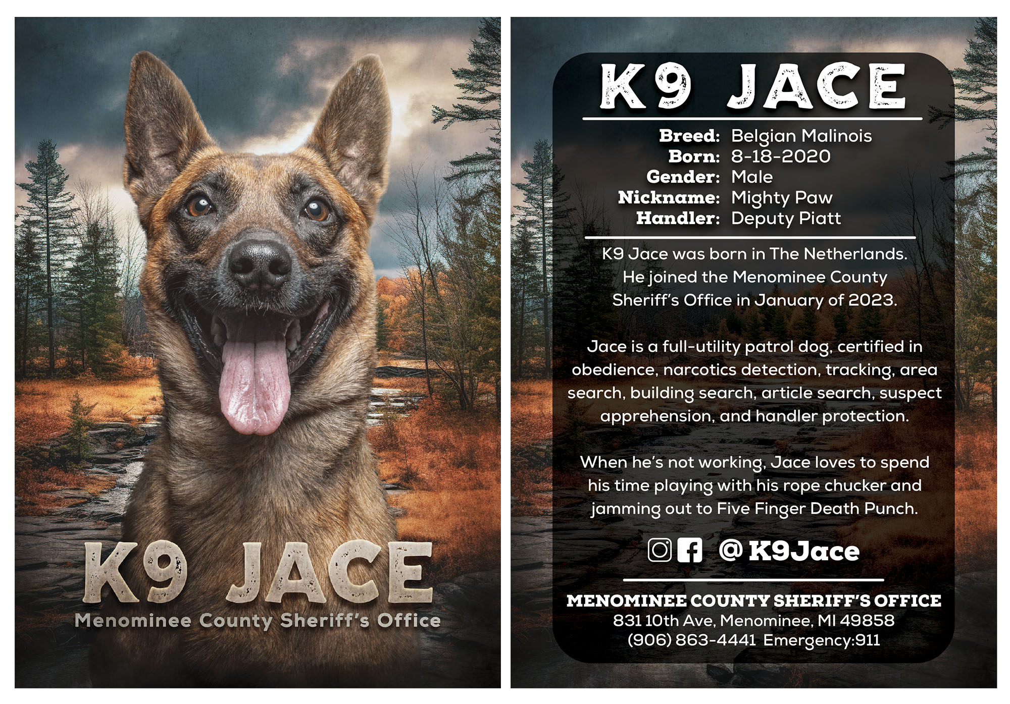 Order – K9 Hero Cards