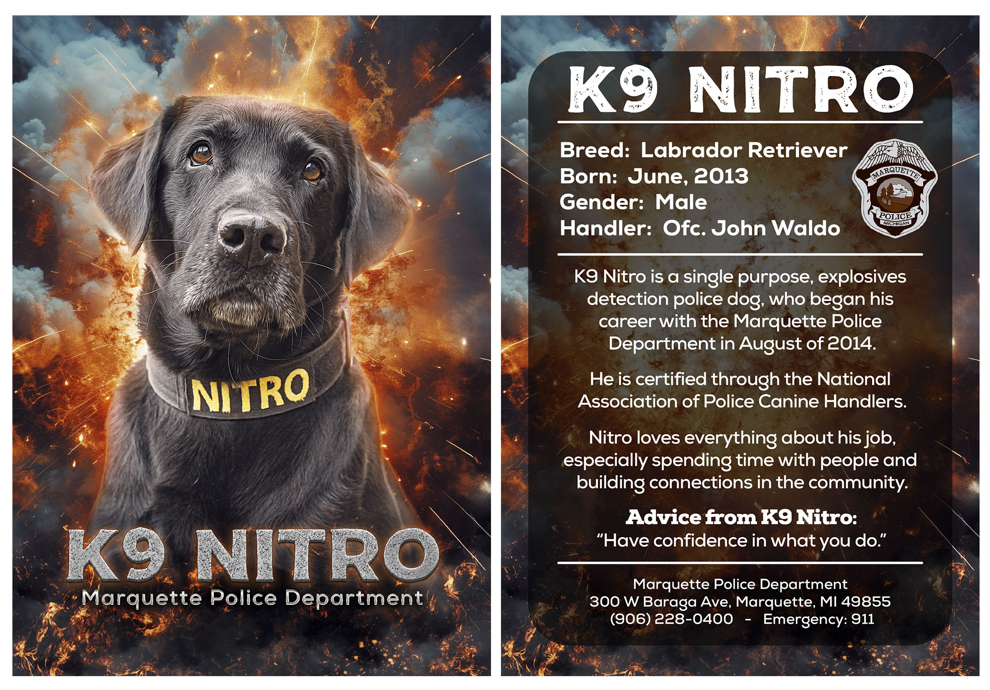Order – K9 Hero Cards