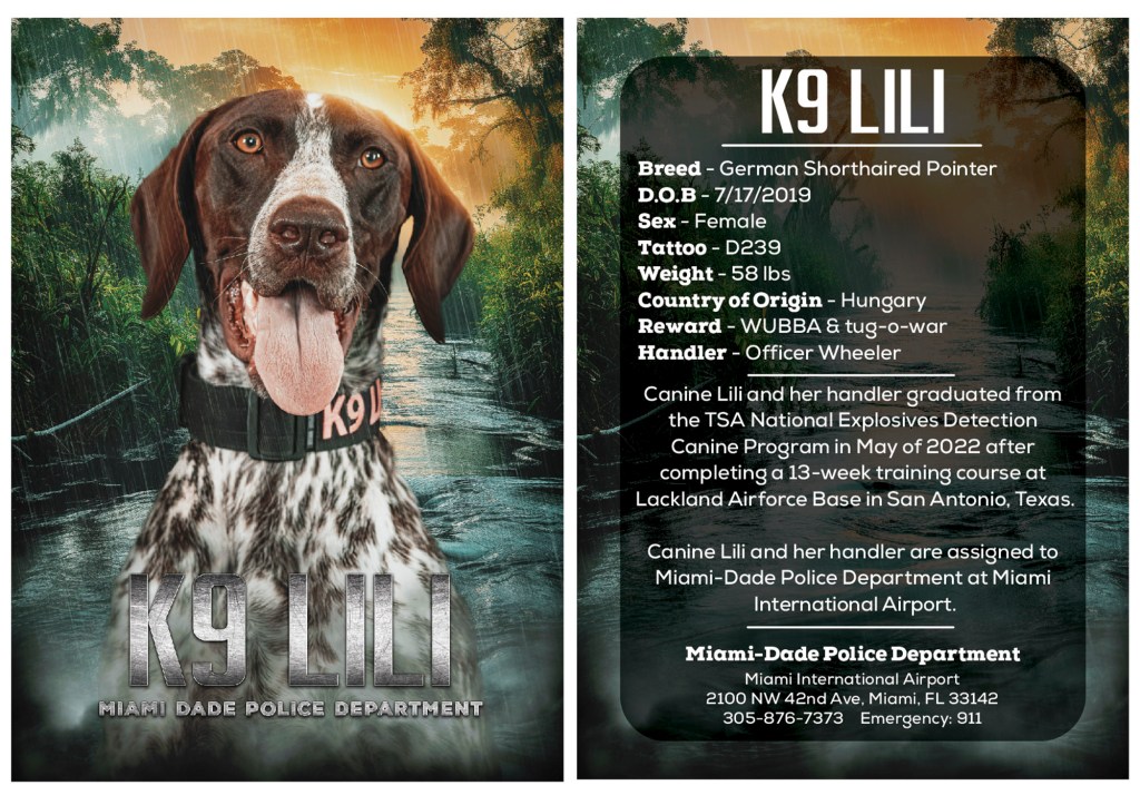 Style Options – K9 Hero Cards