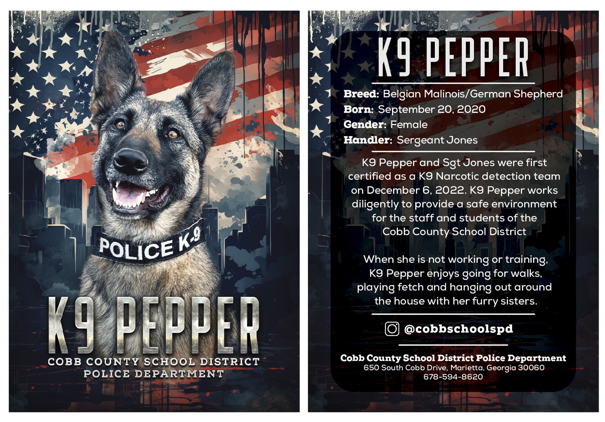 Style Options – K9 Hero Cards