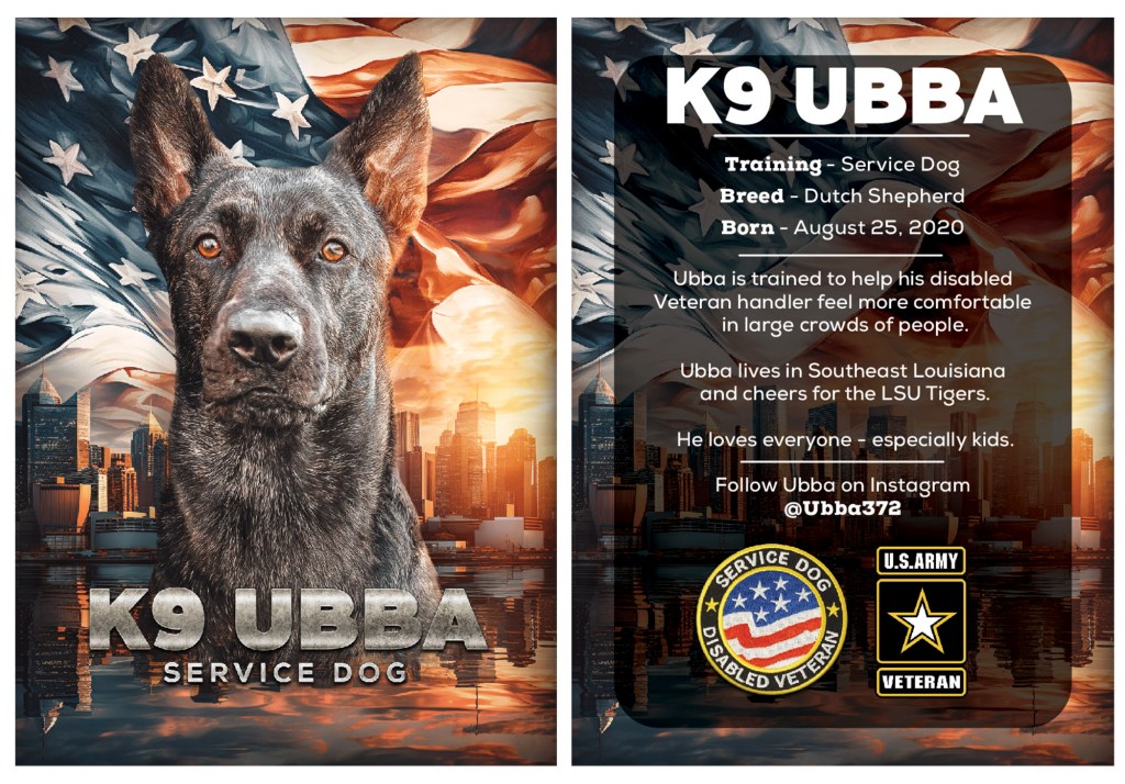 Style Options – K9 Hero Cards