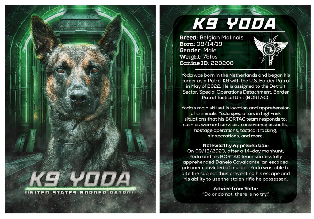 Style Options – K9 Hero Cards