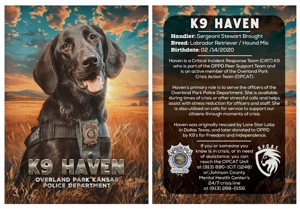 Order – K9 Hero Cards